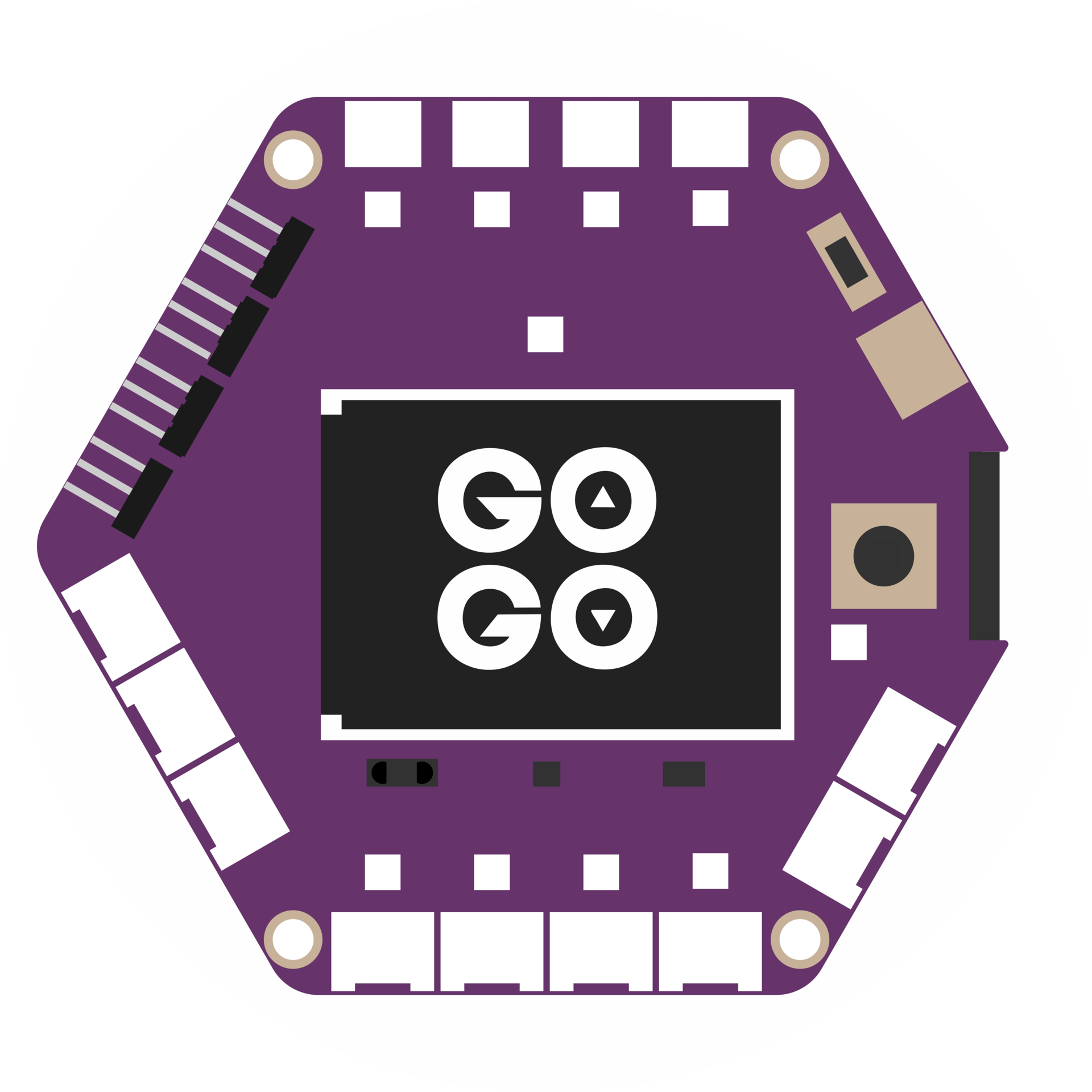 GoGo Board